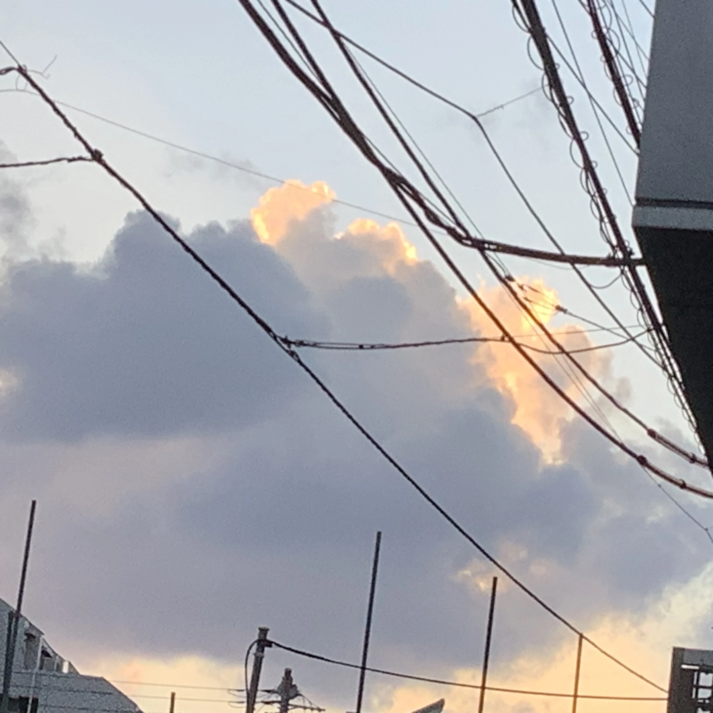 拍摄level11的第一天 | Fandom