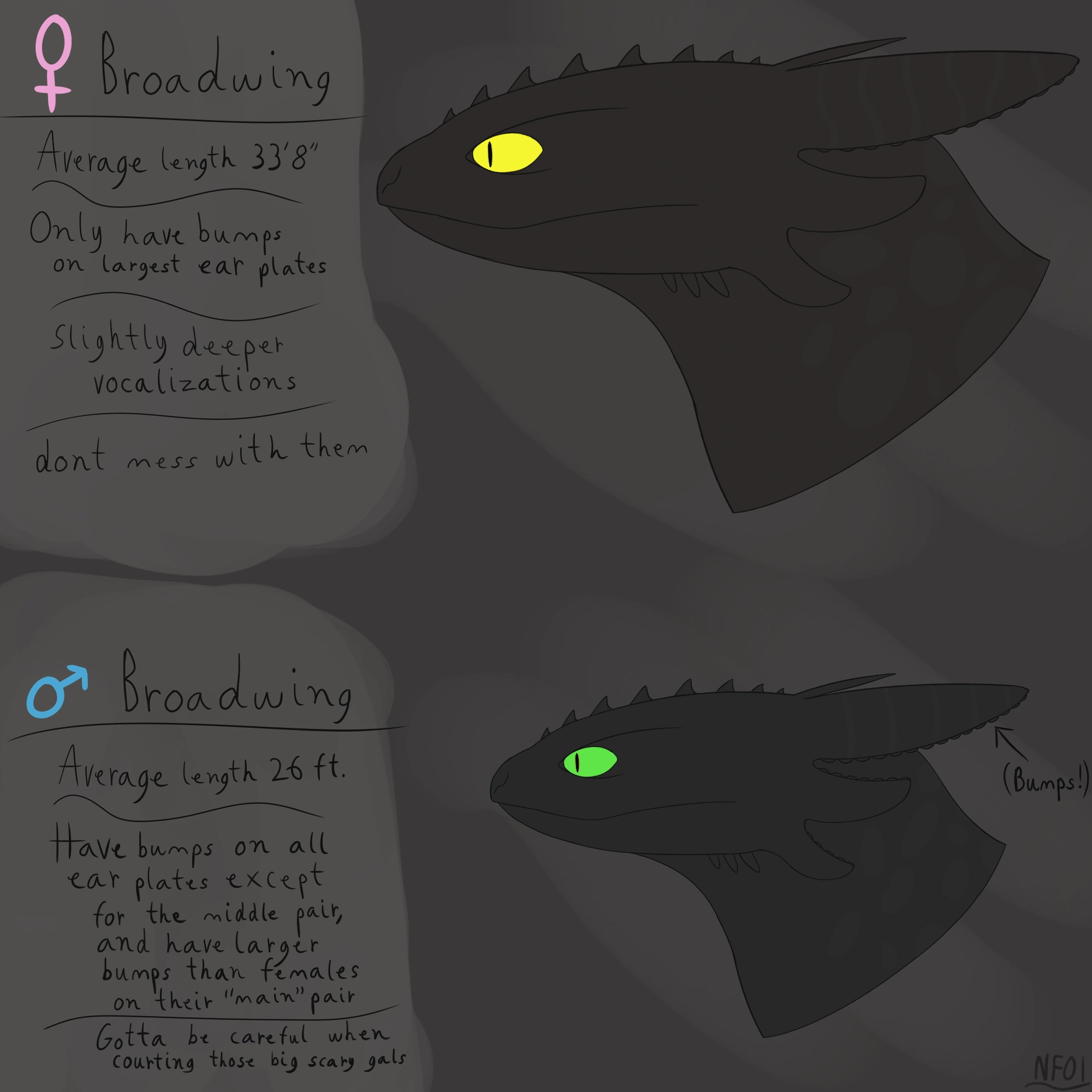 Some of my Night Fury headcanons | Fandom