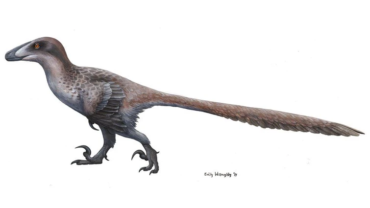 Accurate Jurassic Marsh Raptor | Fandom