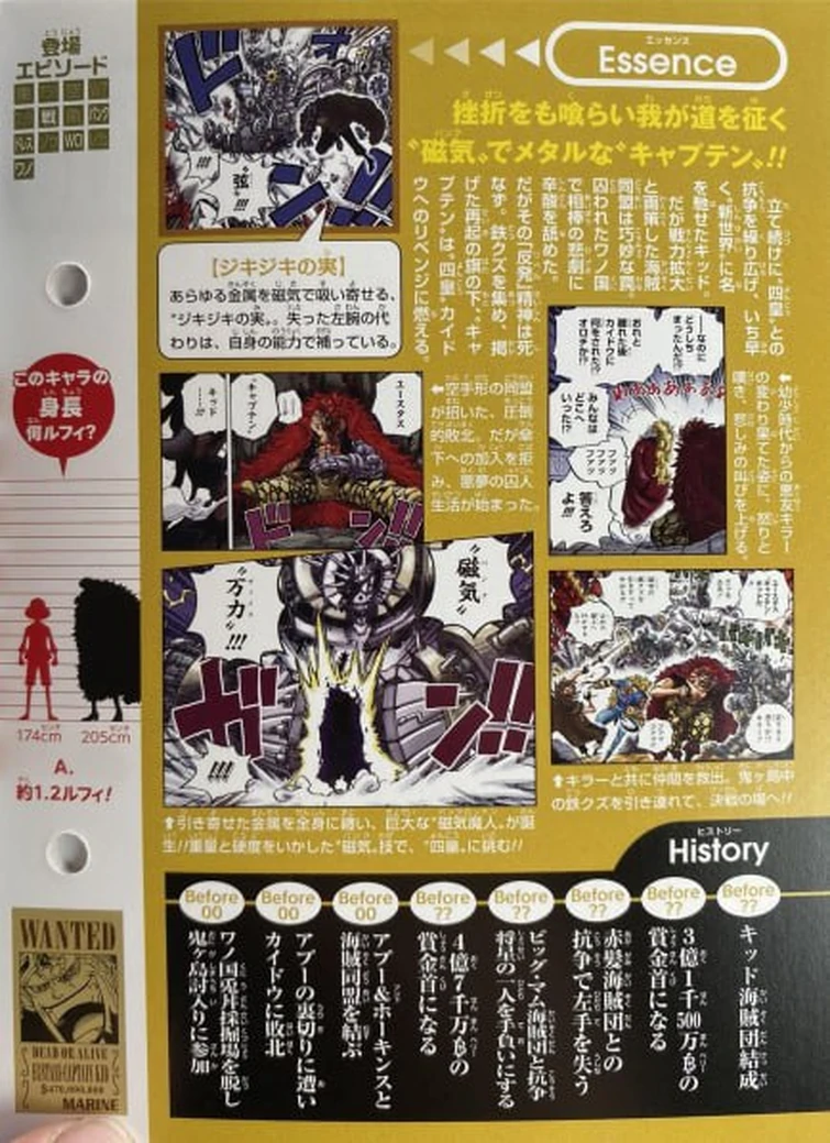 One Piece Awards 2024: Kid of the year | Fandom