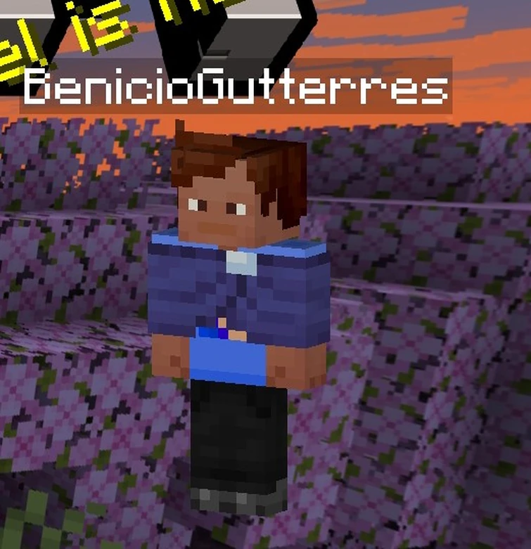 Do you play Minecraft? | Fandom