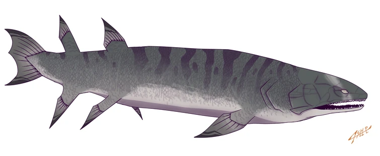 tried to draw hyneria lindae and... | Fandom