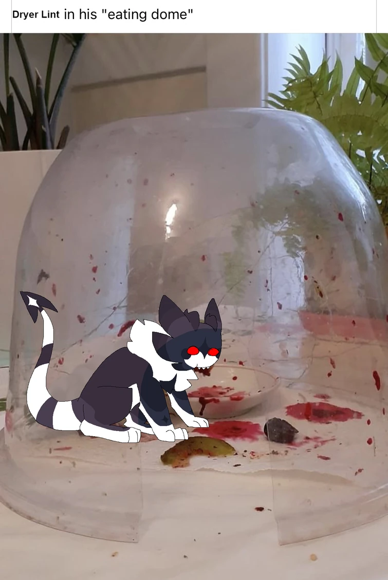 me in my eating dome | Fandom