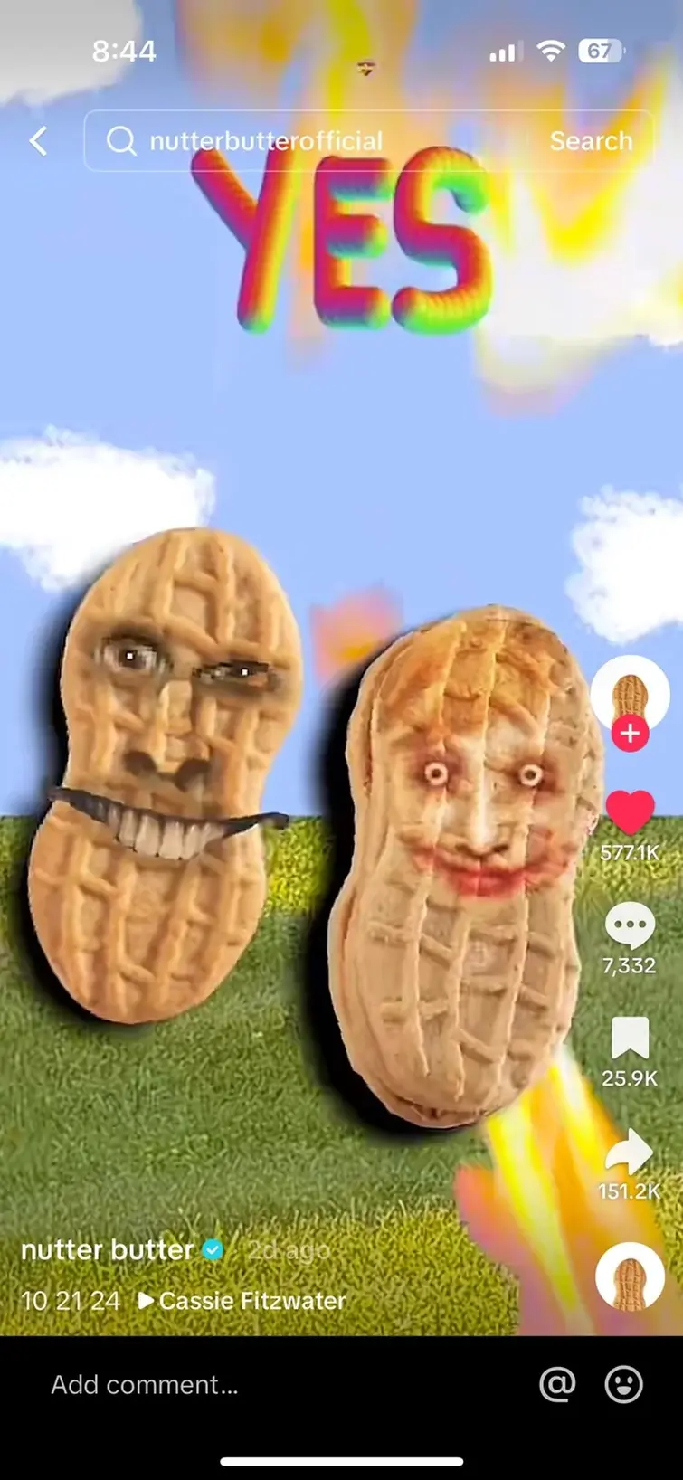 WAHT THE F U,CK | Fandom