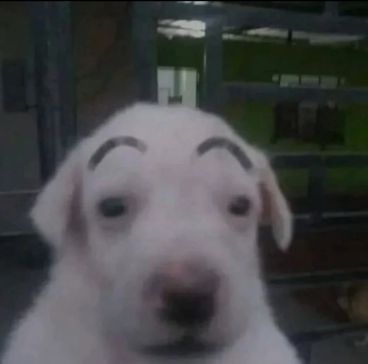 The ultimate rizz | Fandom