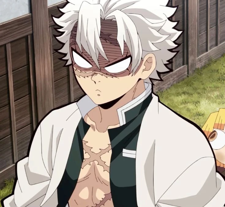 Sanemi has the same amount of sas as a cat and it's adorable | Fandom