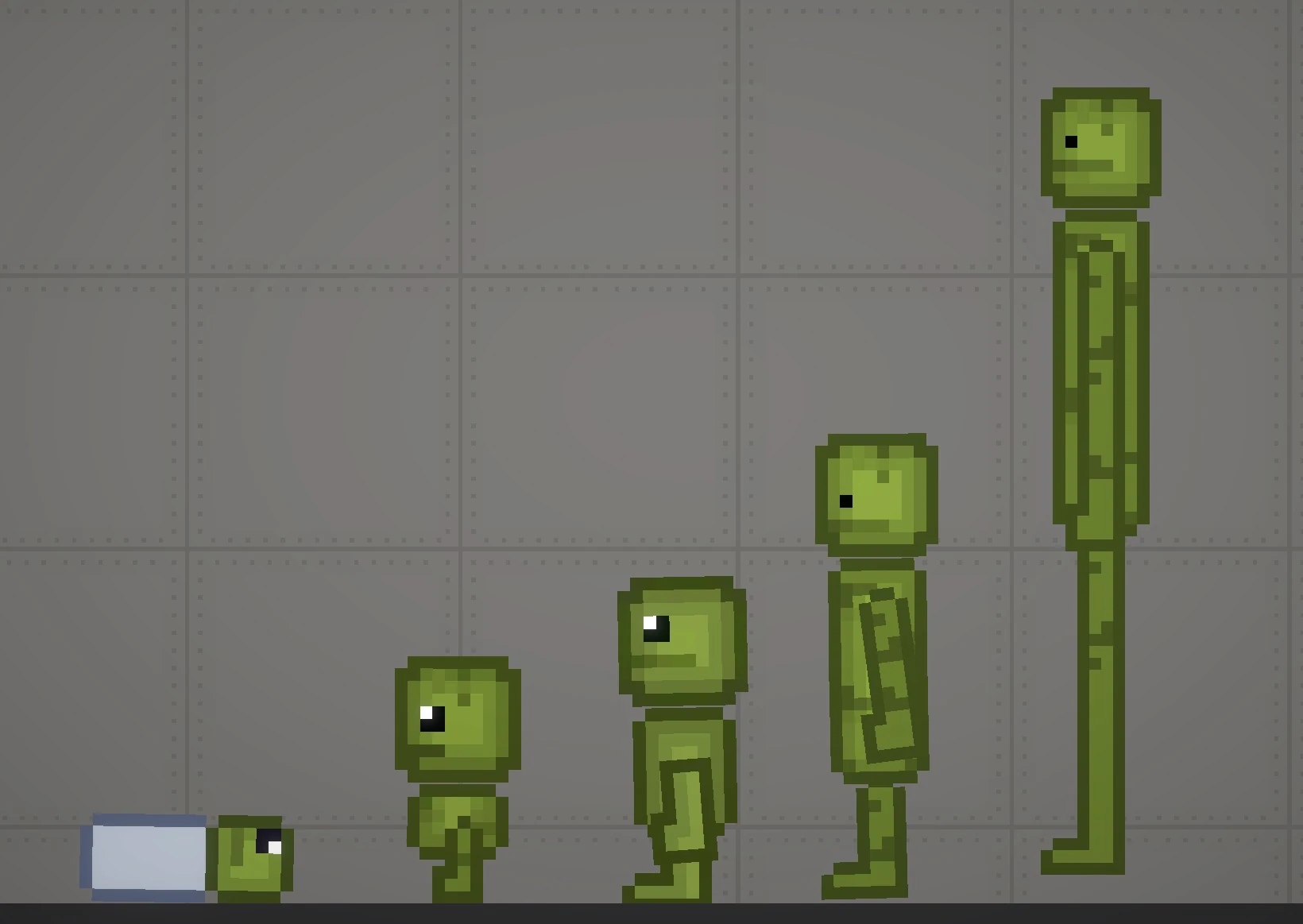 Life-cycle of a Melon | Fandom