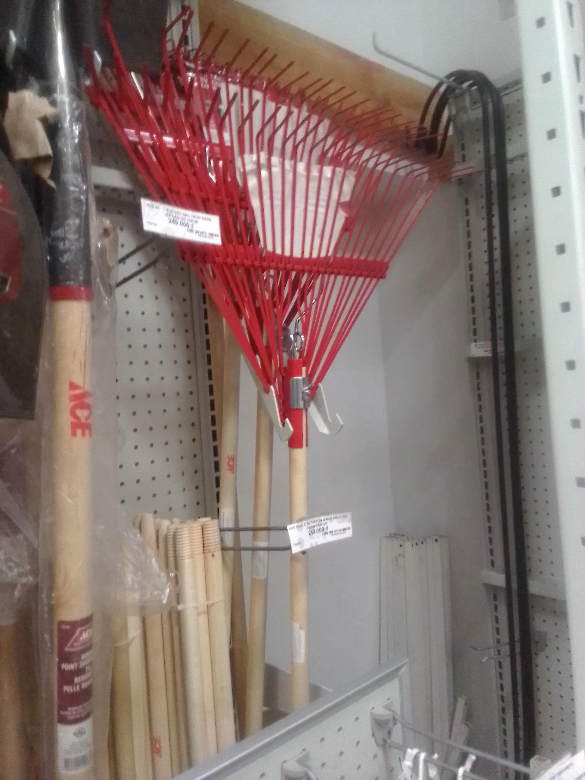 good thing to scratch your back with 👍 | Fandom