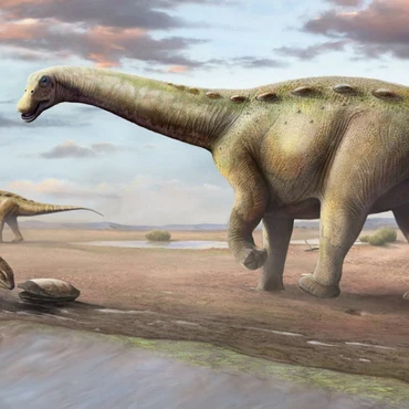 Discuss Everything About Dinopedia | Fandom
