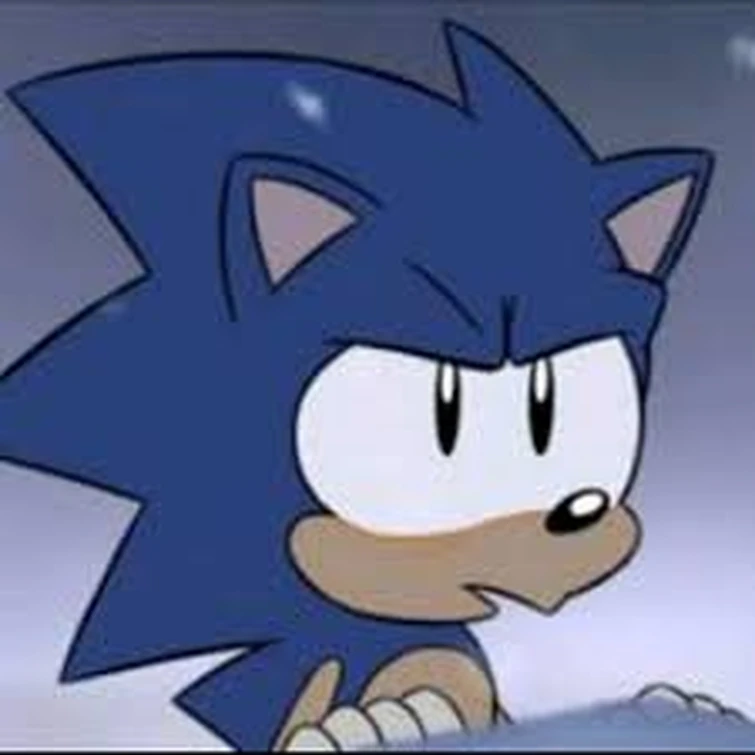 Insult the sonic character above you | Fandom