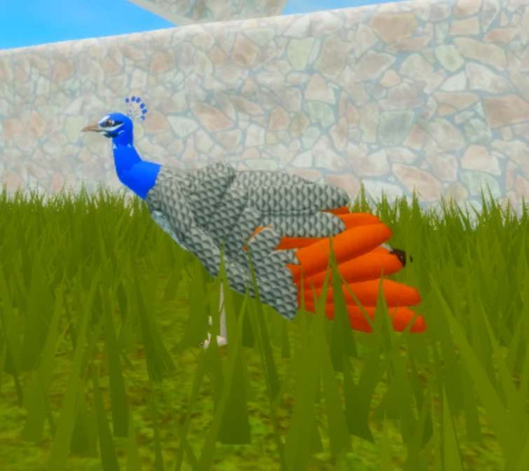 Discuss Everything About Feather Family Wiki | Fandom