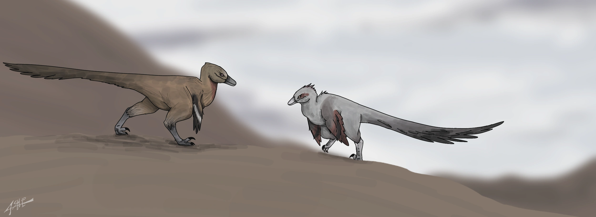 Velociraptor and Tsaagan... | Fandom