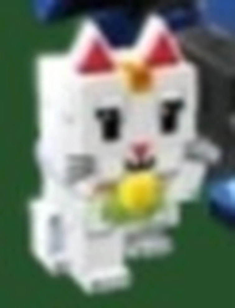 New moon cat? | Fandom