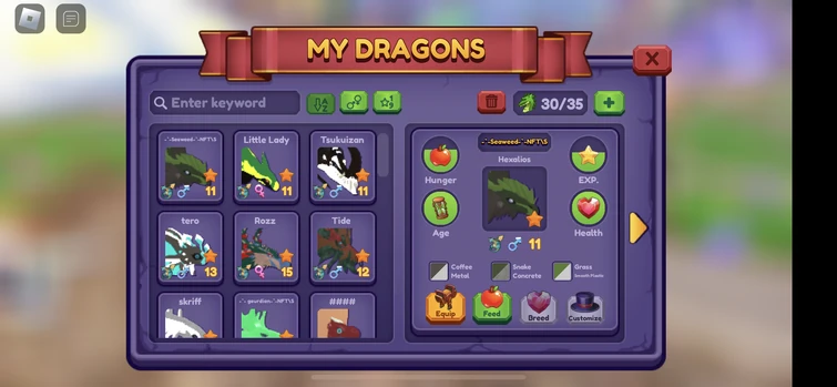 Discuss Everything About Dragon Adventures Wiki | Fandom