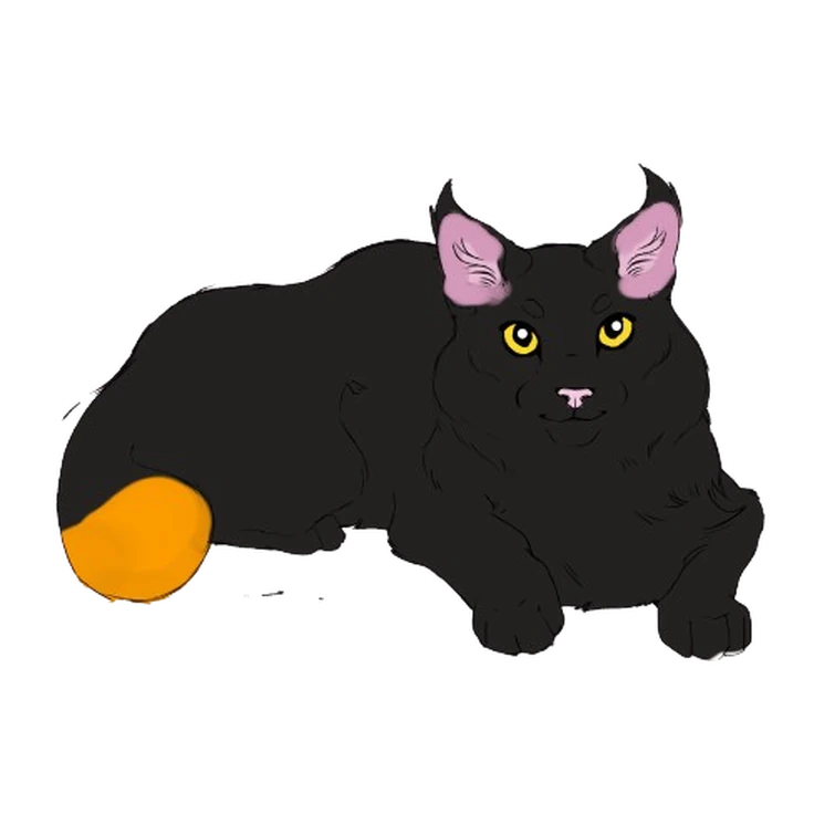 Discuss Everything About Wiki Vos histoires de LGDC | Fandom