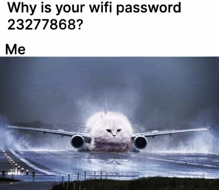 Cat airplane | Fandom