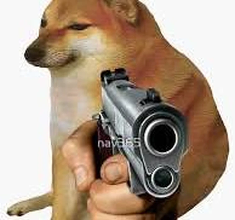 Idk bored of this pfp. (Most upvoted image gets to be my pfp for today ...