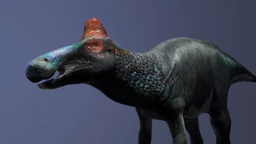 Discuss Everything About Dinopedia | Fandom