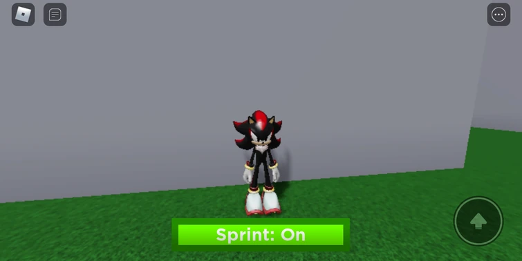 Discuss Everything About Sonic Speed Simulator Wiki | Fandom