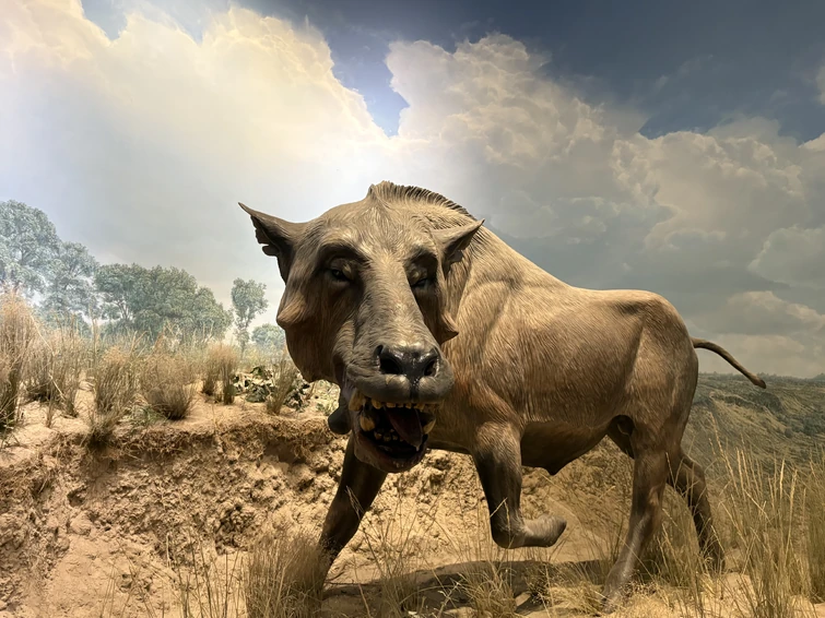 Discuss Everything About Dinopedia | Fandom
