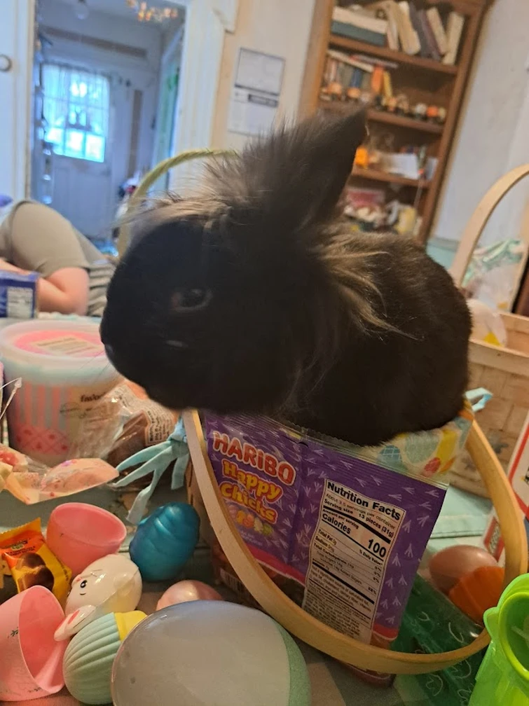 Happy Easter, Death Battle Wiki | Fandom