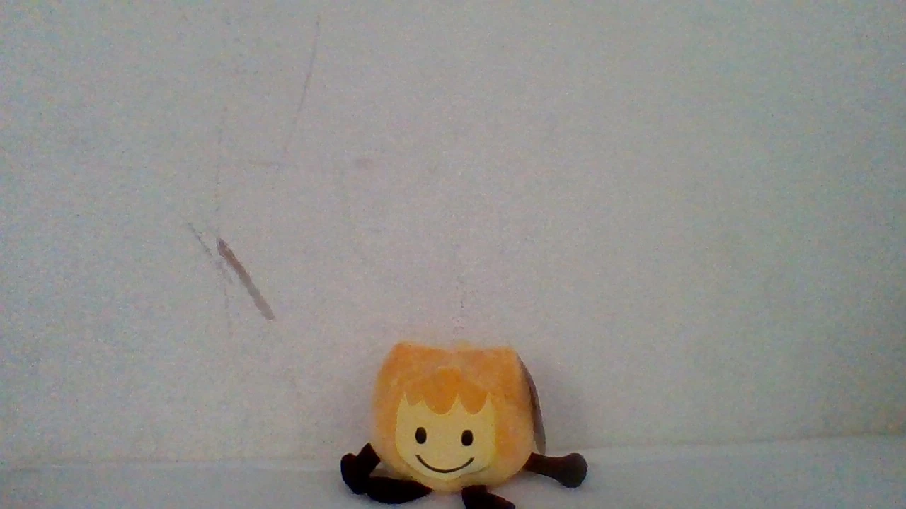 I Got A Firey Jr. Plush! | Fandom