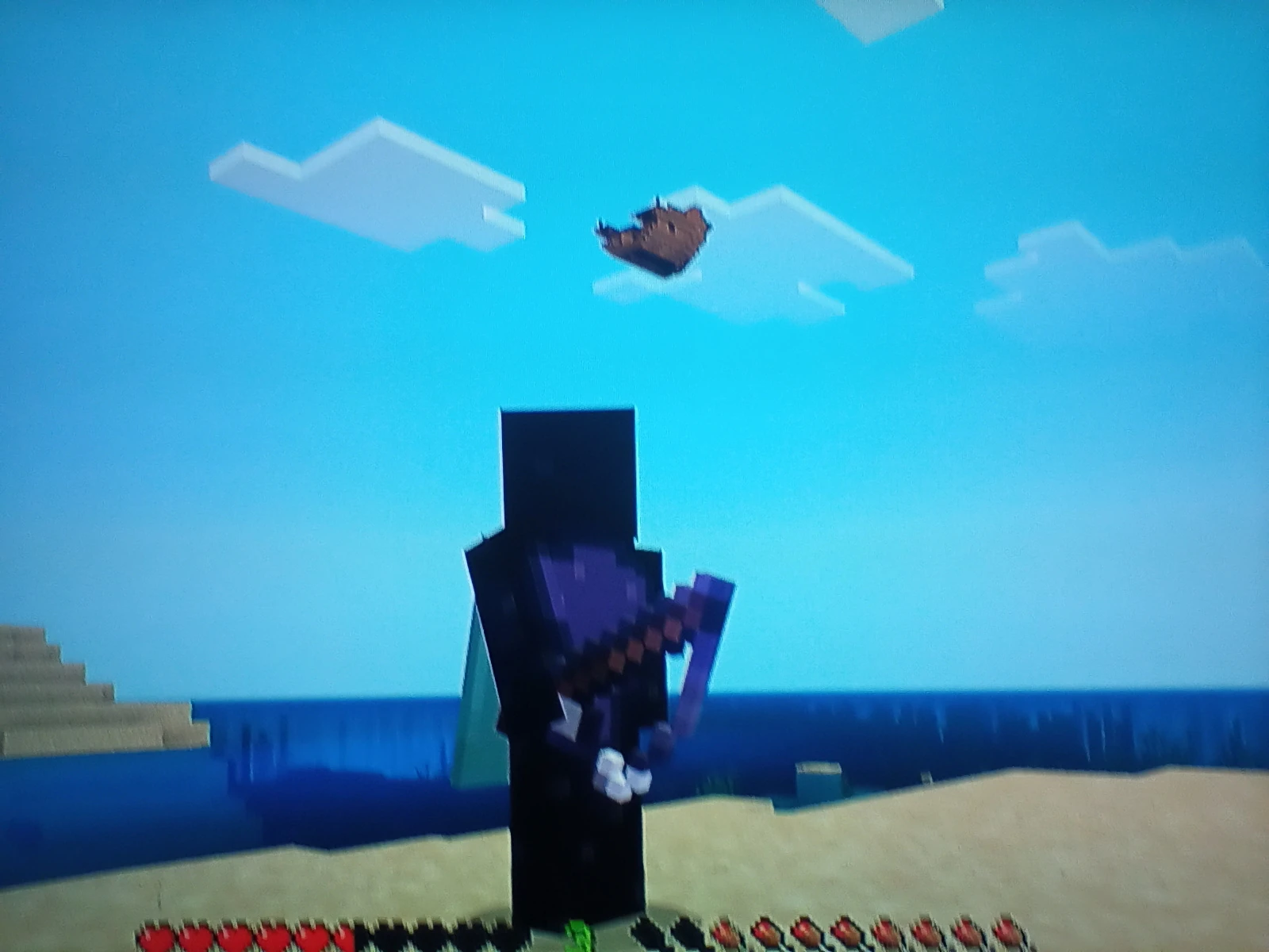 Hey dud sorry u crashed your boat into a bird😧 | Fandom