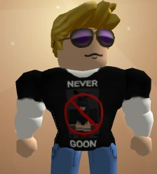 Someone said my avatar was inappropriate | Fandom