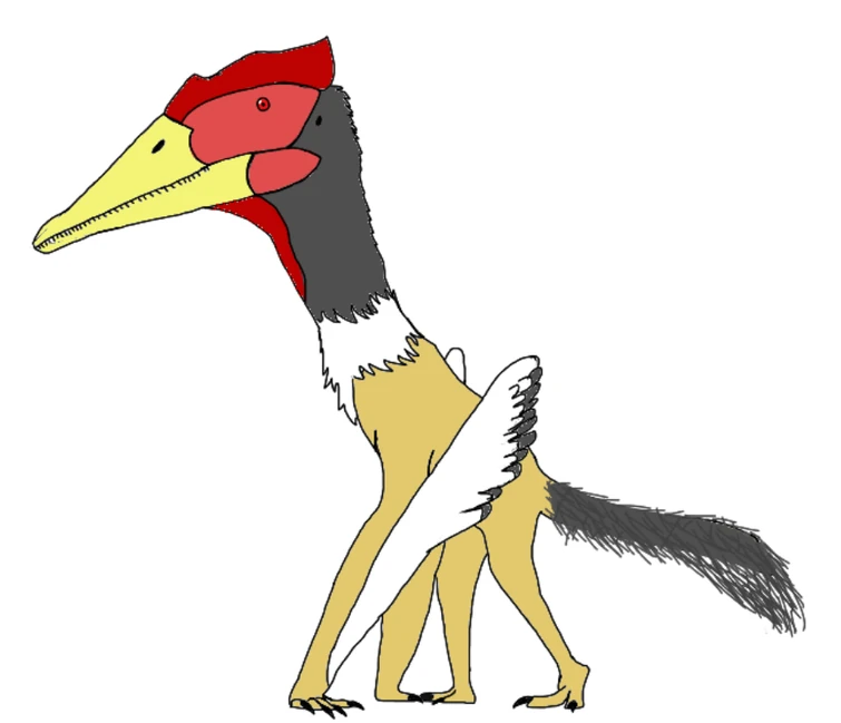 Im done with Pelecanipteryx now i will make Diplotator | Fandom