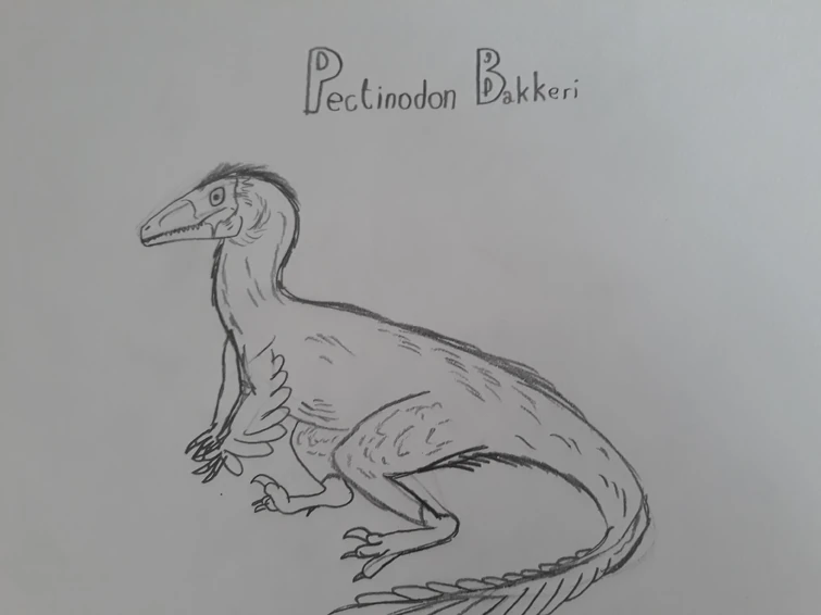Pectinodon | Fandom