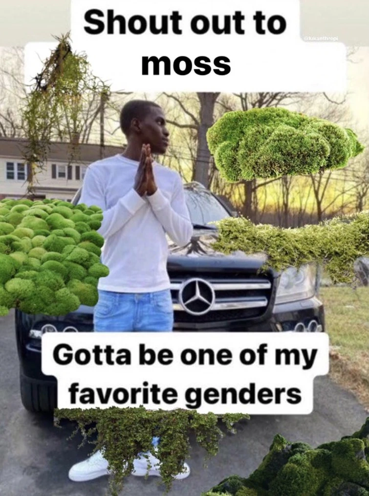 Just a bunch of agender memes bc I exist (no I do not care that pride ...