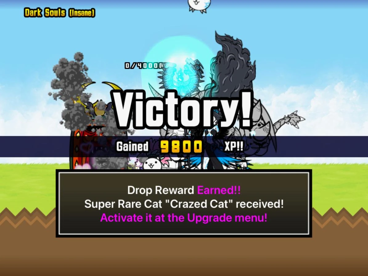 Hunting down the crazed cats! Pt 1 | Fandom