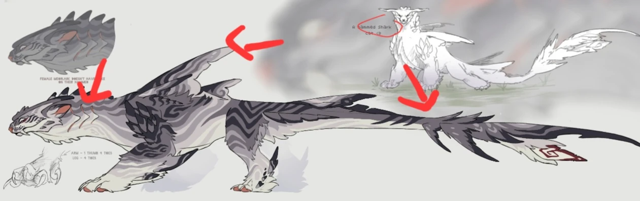 oh my god chat meolark is literally just a catfish (well, shark) | Fandom