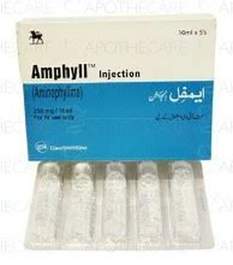 Discuss Everything About Dragon Adventures Wiki | Fandom