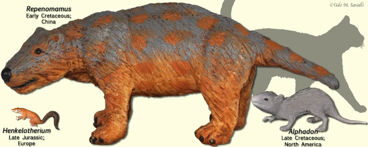 Even now, I still can't think of a name for this series pt. 4 | Fandom