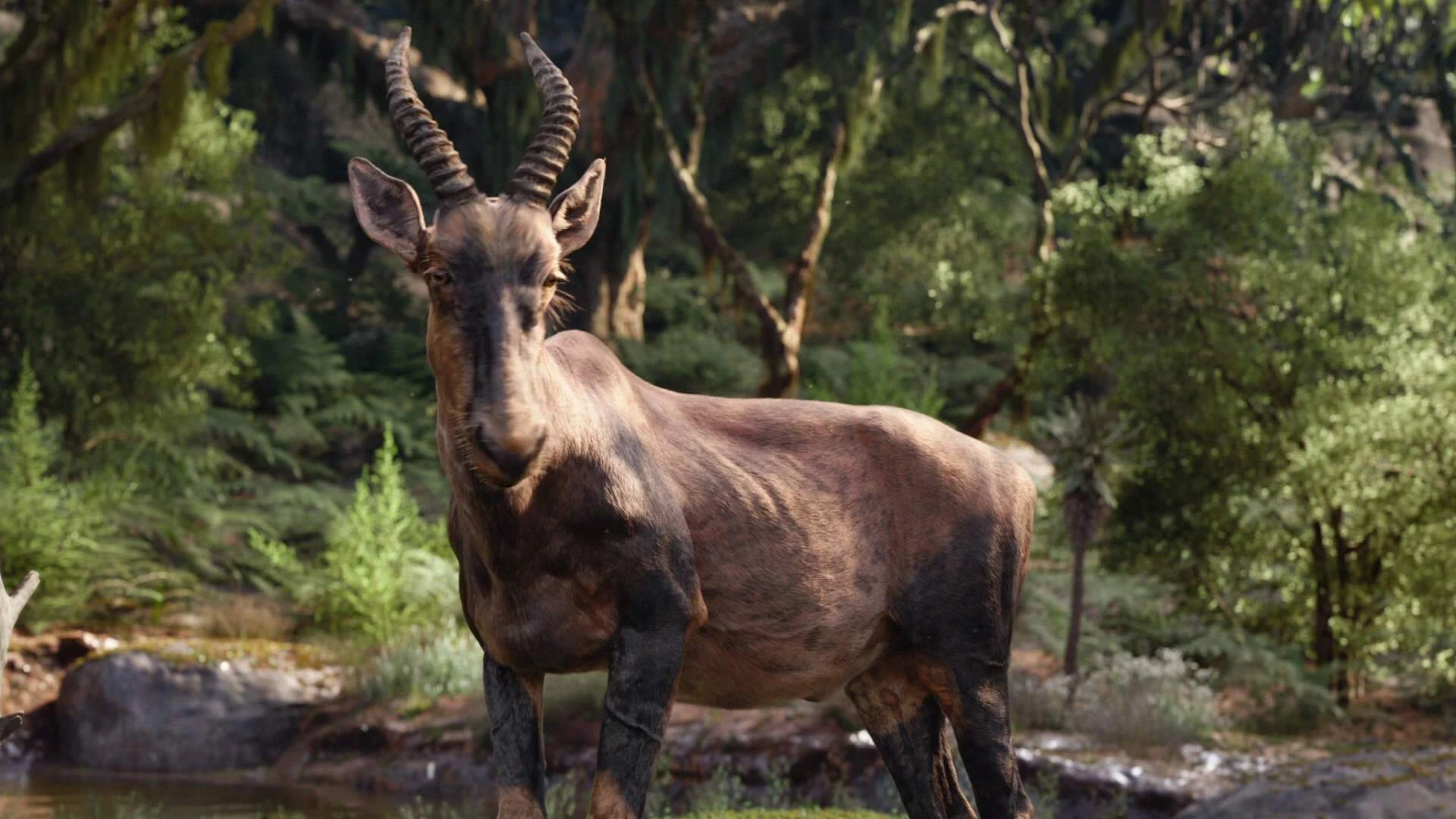 Who else besides me thinks this guy is named "Impala the topi"? | Fandom