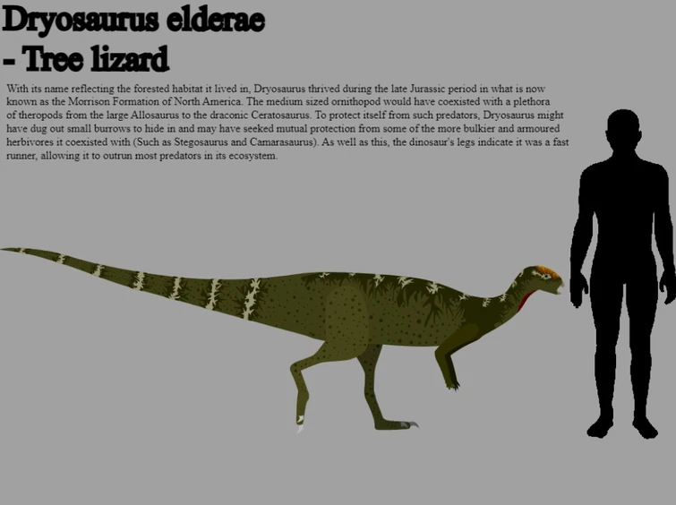 Dryosaurus art | Fandom