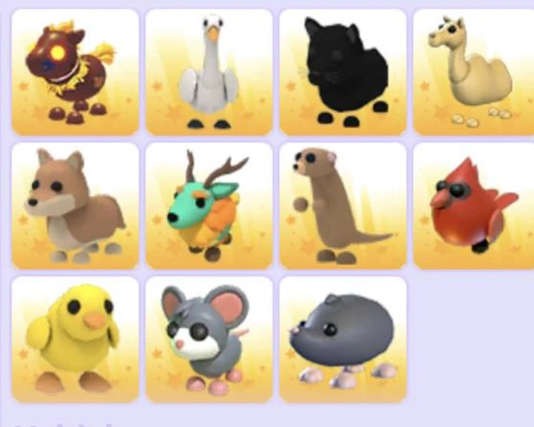 LF: Pink, Purple Pet Wears, Neon Legs, Flamingo, Croc! | Fandom