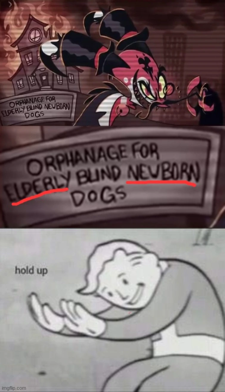 More memes from the internet | Fandom