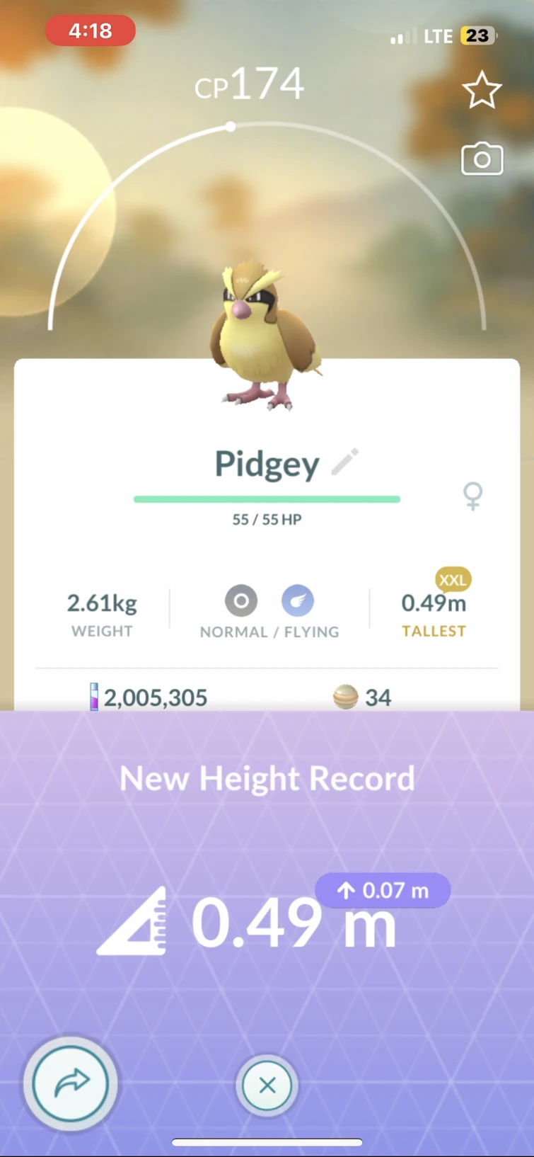 Finally! Shiny Pidgey! | Fandom