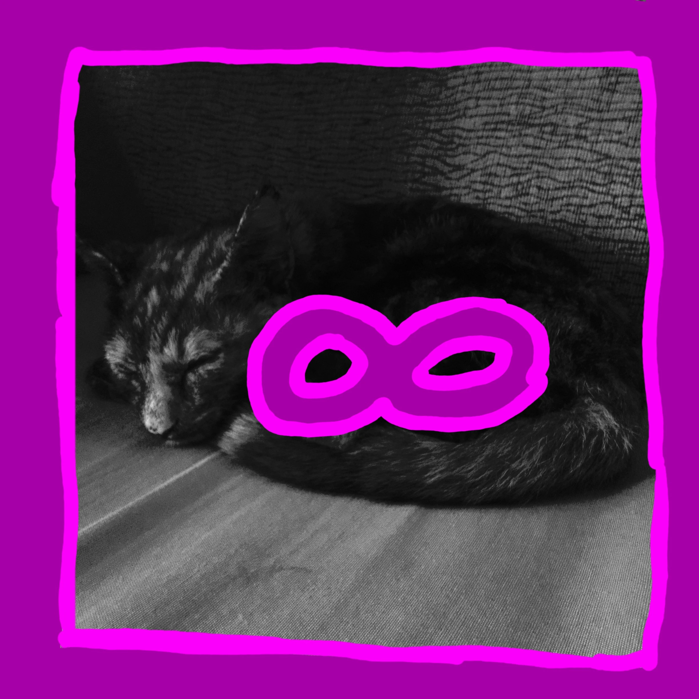 Im back! DiDi and cars aka TheSakuraFlowerCat | Fandom