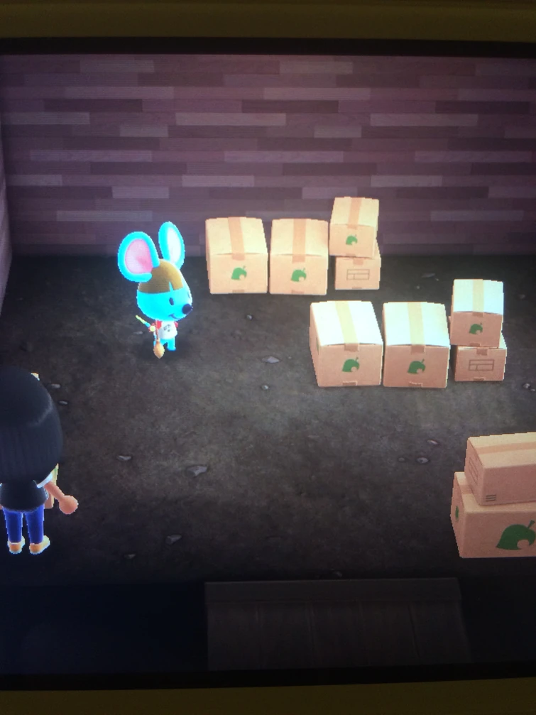 Discuss Everything About Animal Crossing Wiki | Fandom