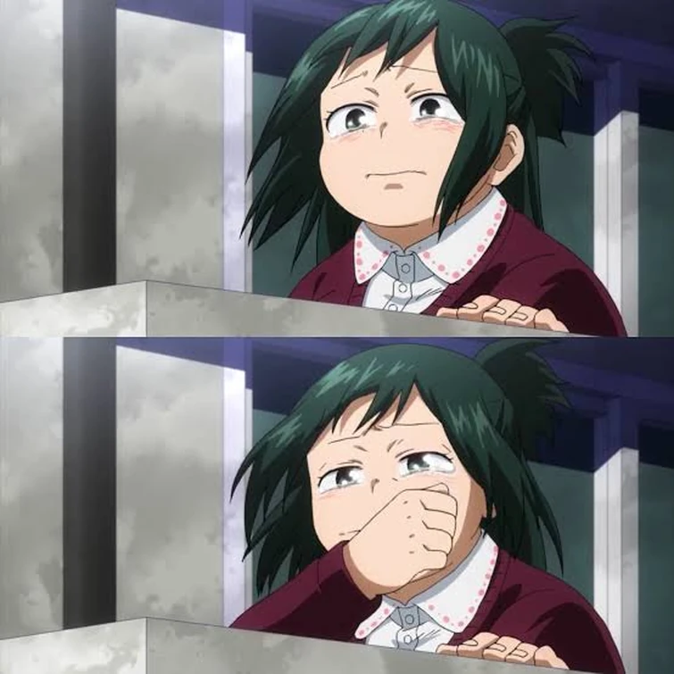 Why inko midoriya was crying in this scene? | Fandom