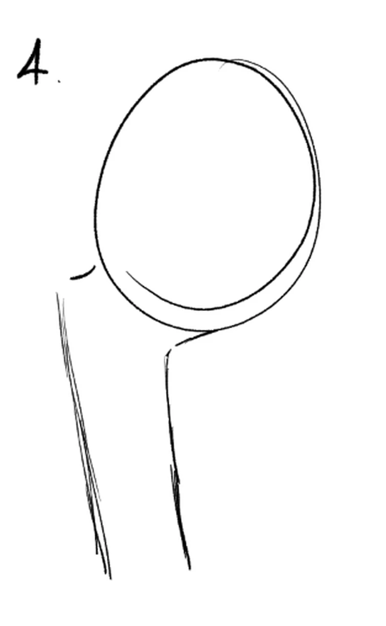 HWO DO YUOU DRAW DRAGON LIMBS | Fandom