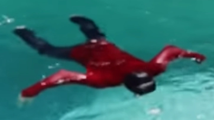 Trading/Selling pure shadow meorlark! | Fandom