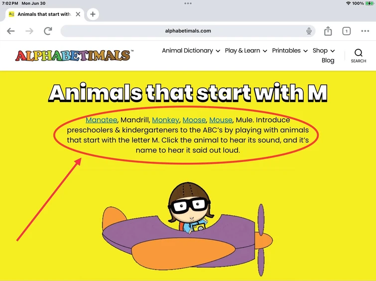 Discuss Everything About Alphabetimals Wiki | Fandom
