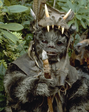 Discuss Everything About Wookieepedia | Fandom
