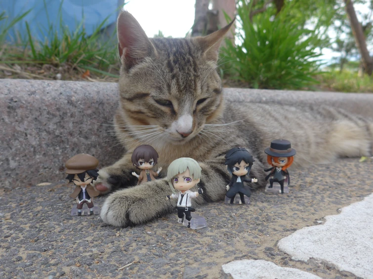 BUNGO STRAY CATS | Fandom