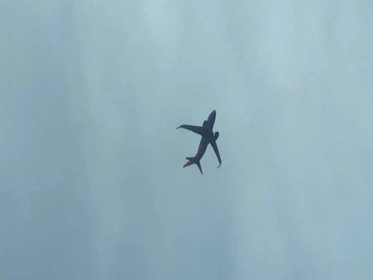 fffcgfhf gf ccc red xcgvvz c cd sfg nvg hhhhkh | Fandom