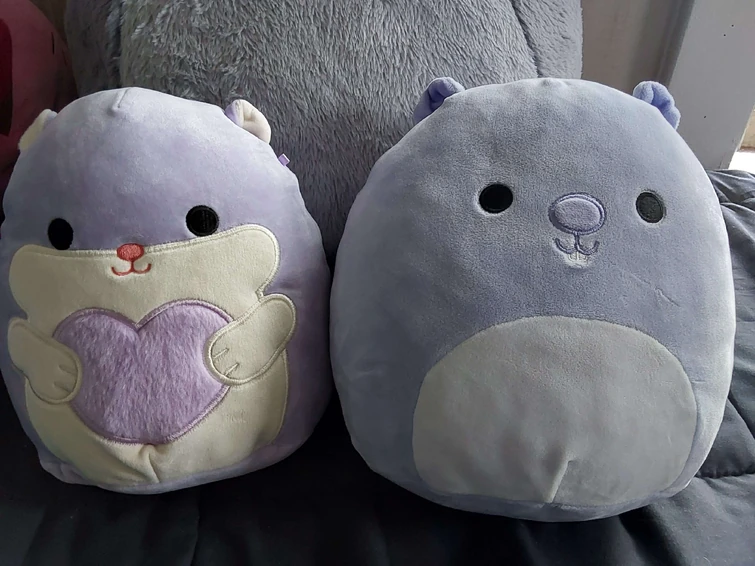 Discuss Everything About Squishmallows Wiki | Fandom